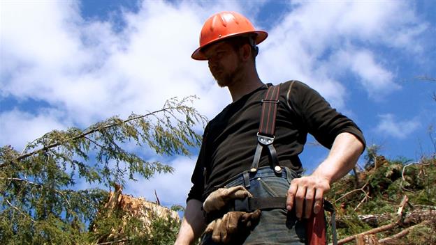 Ax Men: Pain in the Ax